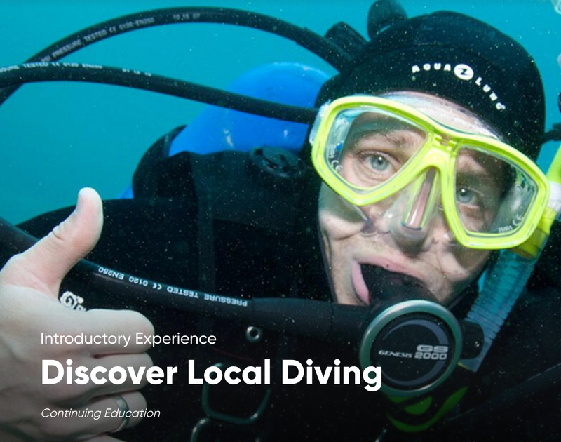 Guided Dive - Discover Local Diving | Beach Cities Scuba